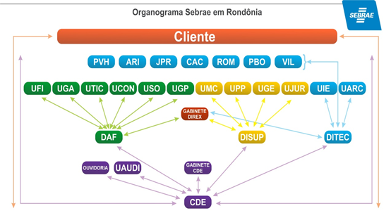 Relatório de Gestão 2018 - Sebrae RO - Sebrae