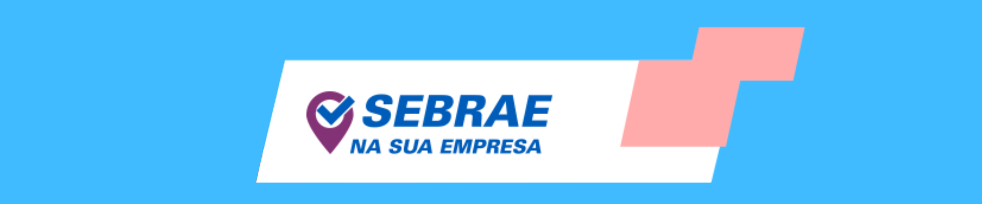 Conheça o projeto o Sebrae na sua Empresa - Sebrae